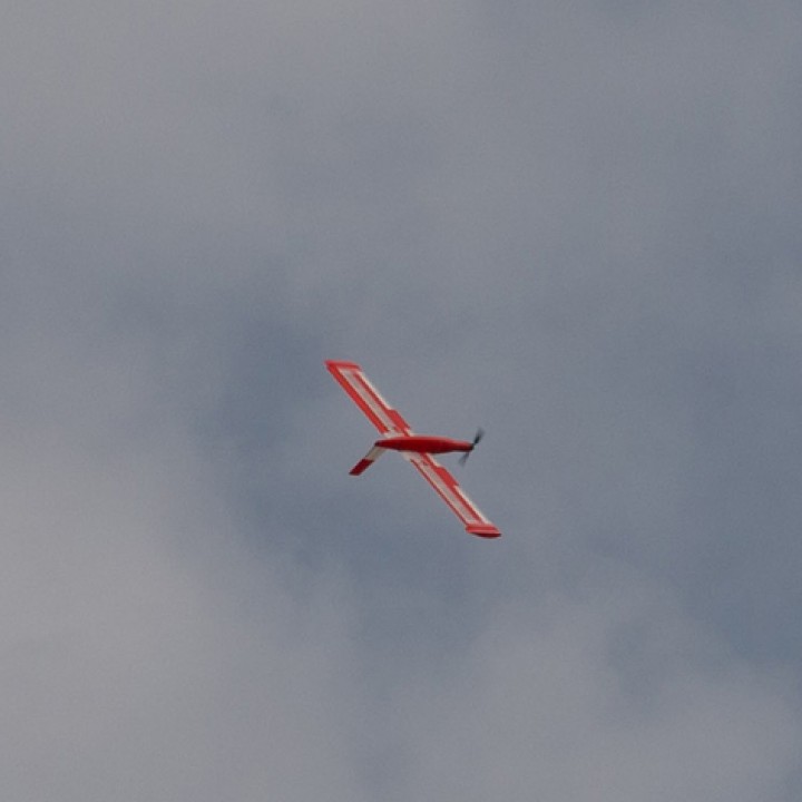 3D Printable "Red Duck" RC flying wing by Michael Christou