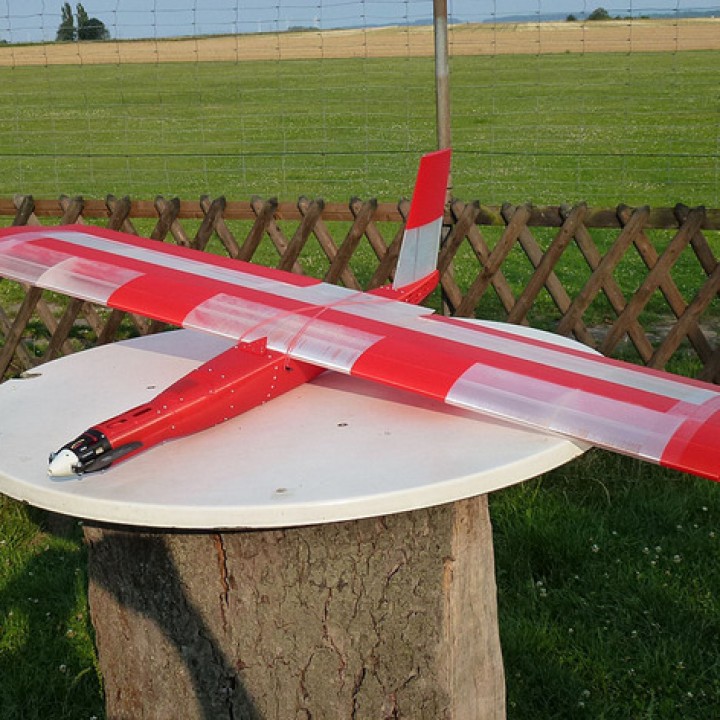 3D Printable "Red Duck" RC flying wing by Michael Christou