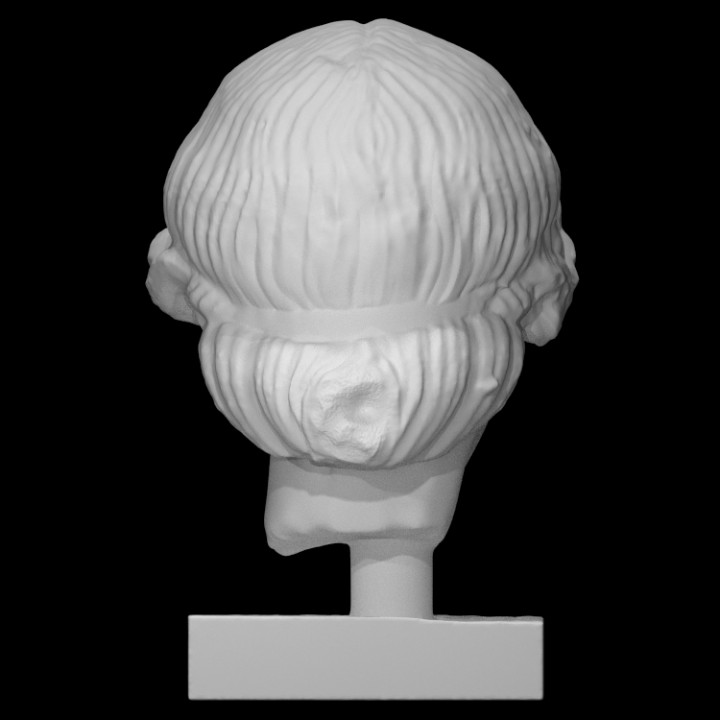 3D Printable Head by Scan The World
