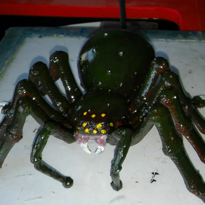 Download Jba Fofi (Giant Spiders of the African Congo) von Mark Fluharty