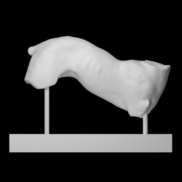 3D Printable Dog by Scan The World