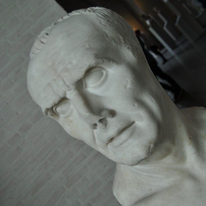 3D Printable Bust of Marius by Scan The World