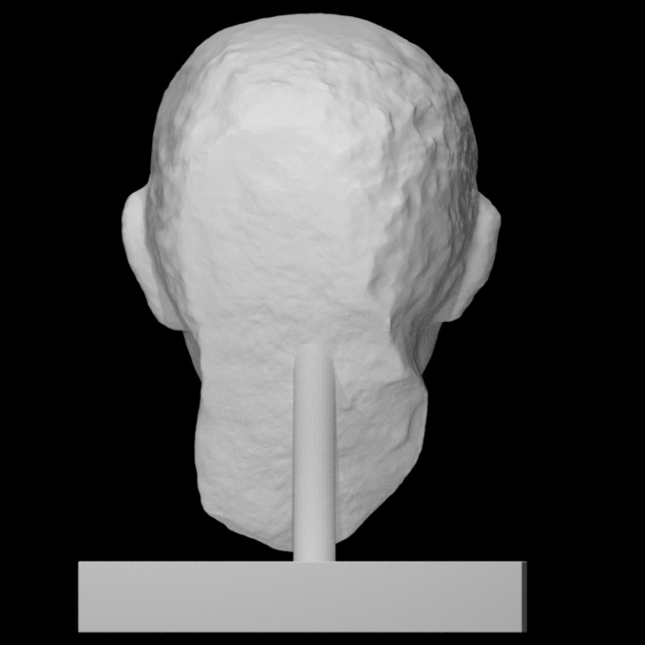 3D Printable Portrait of a Roman by Scan The World