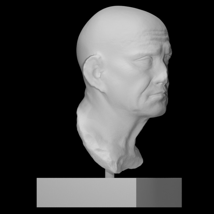 3D Printable Head of a man by Scan The World