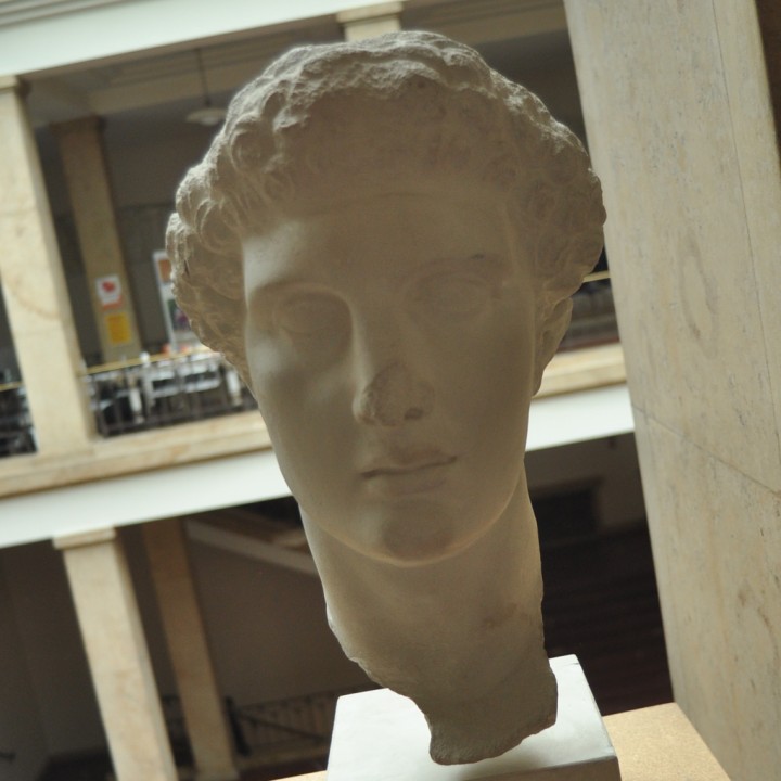 3D Printable Apion by Scan The World