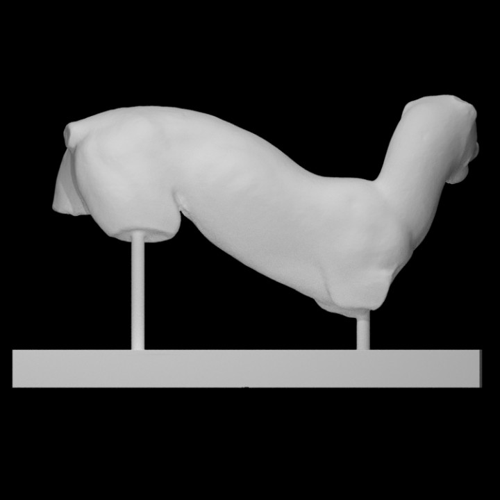 3D Printable Dog by Scan The World