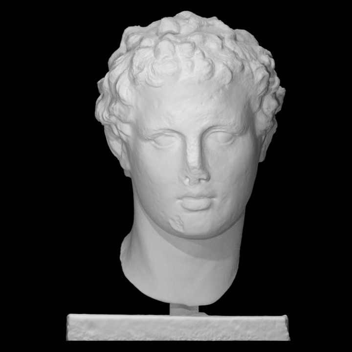 3D Printable Head of a man by Scan The World