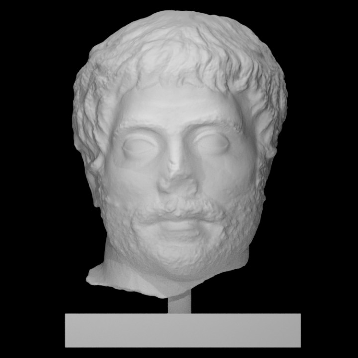 3D Printable Head of a man by Scan The World