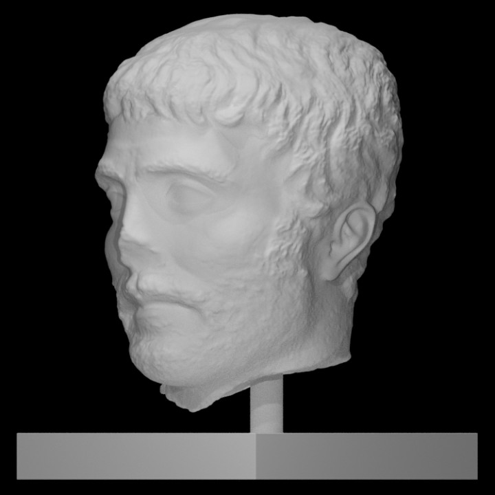 3D Printable Head of a man by Scan The World