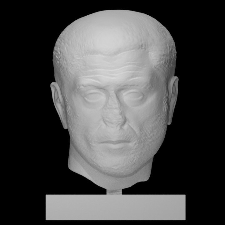 3D Printable Head of a man by Scan The World