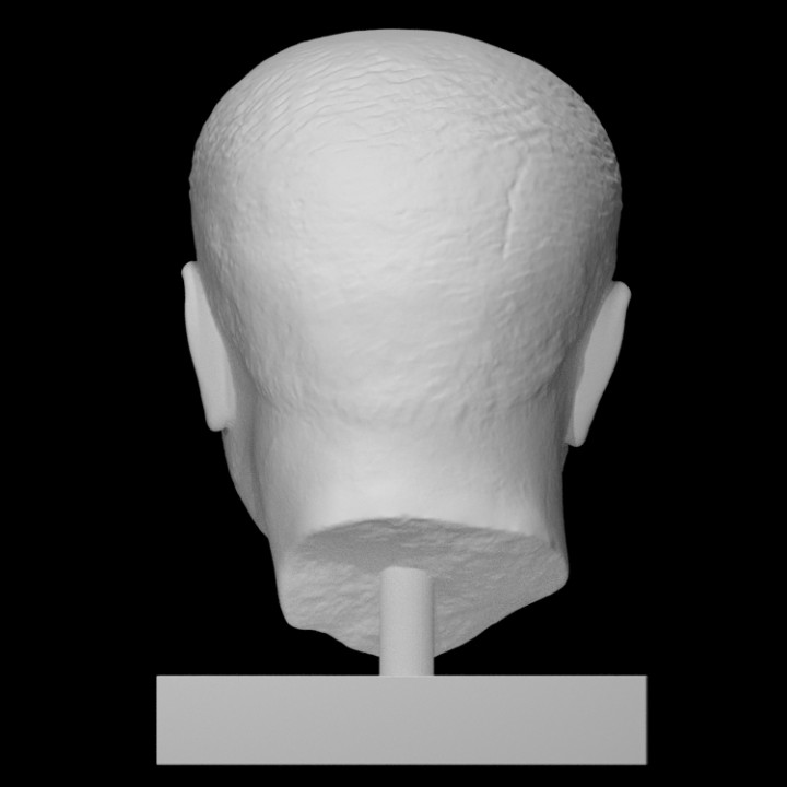 3D Printable Head of a man by Scan The World