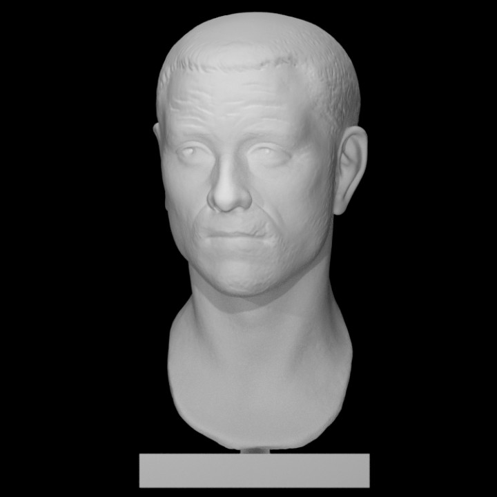 3D Printable Head of a man by Scan The World