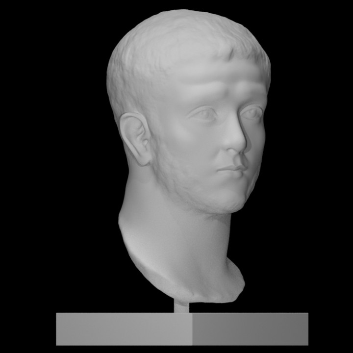 3D Printable Portrait of a Gallic man by Scan The World