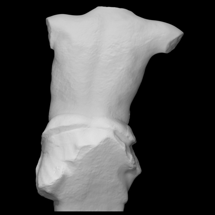 3D Printable Torso of a Triton figure by Scan The World