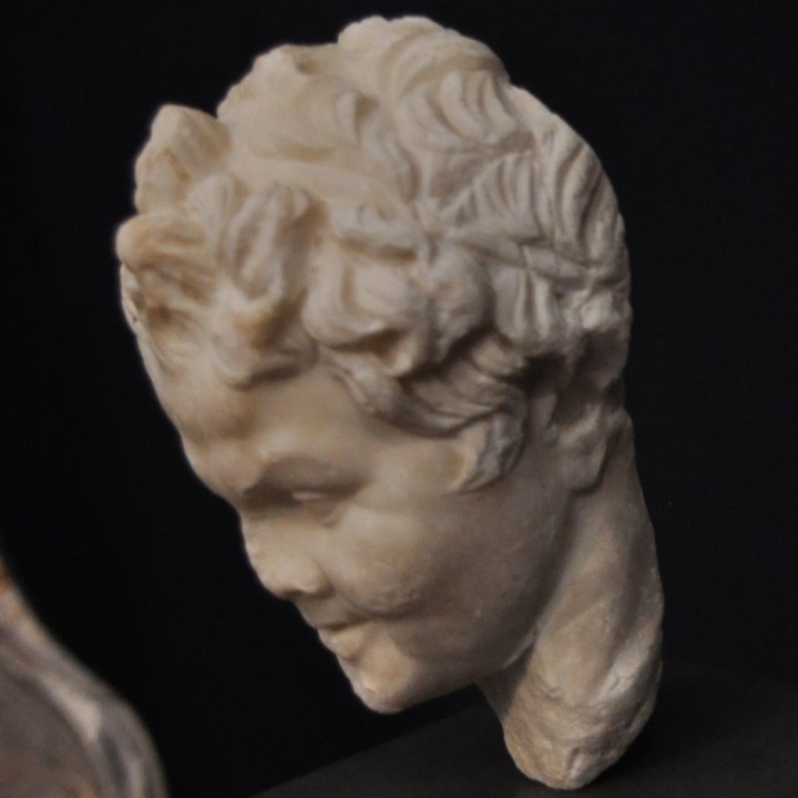 3D Printable Head of a laughing satyr by Scan The World