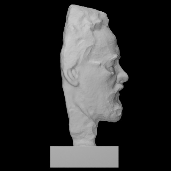 3D Printable Portrait of an old man by Scan The World