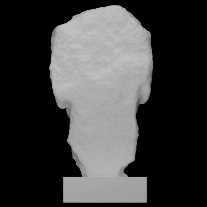 3D Printable Portrait of an old man by Scan The World