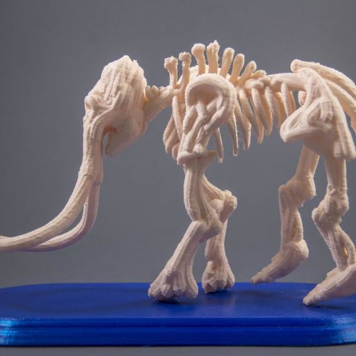 3D Printable Mammoth Fossil by MakePrintable