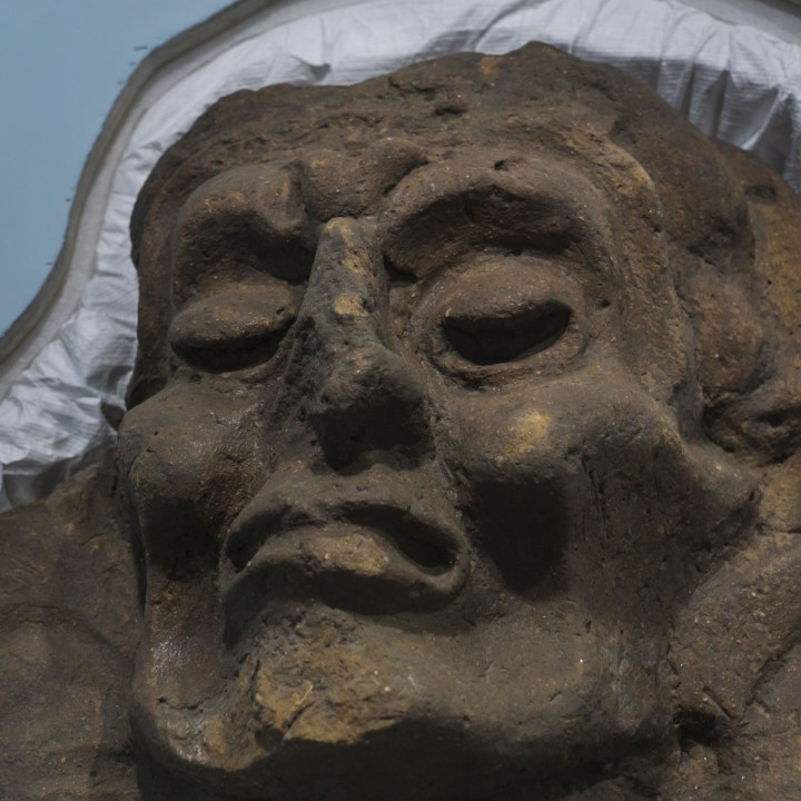 3D Printable Human Mask by Scan The World