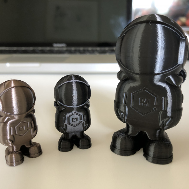 3D Print of 3D Phil by Audax