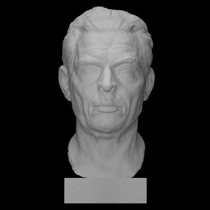 3D Printable Head of a man by Scan The World