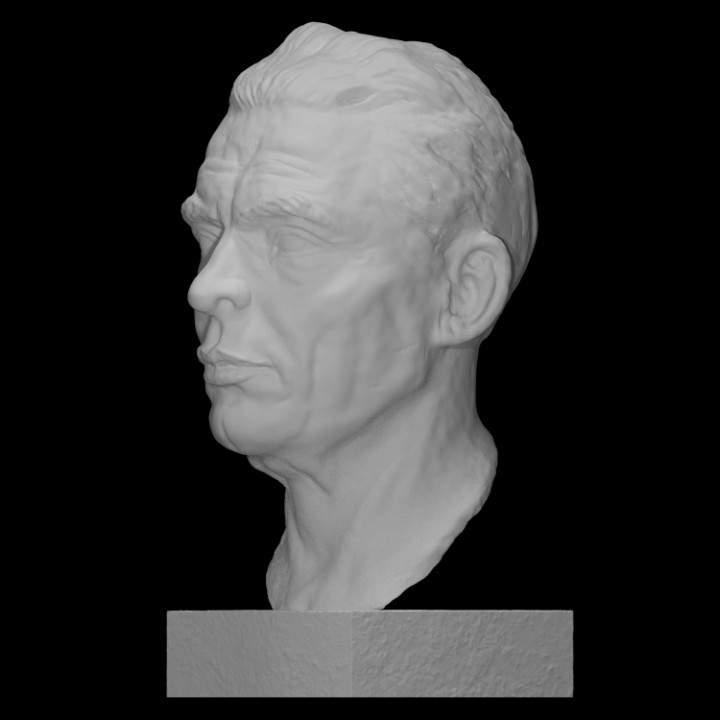 3D Printable Head of a man by Scan The World