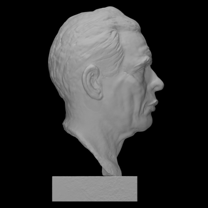 3D Printable Head of a man by Scan The World