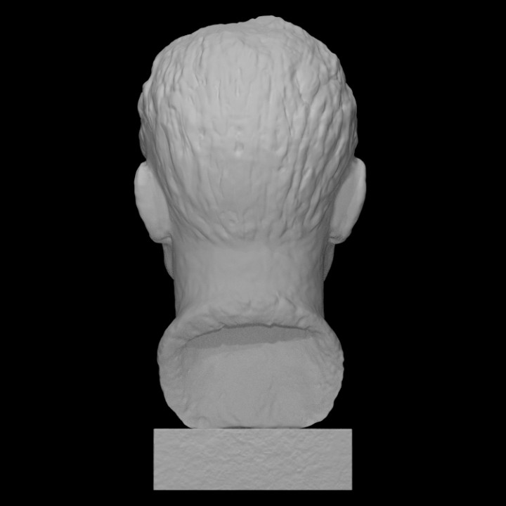 3D Printable Head of a man by Scan The World