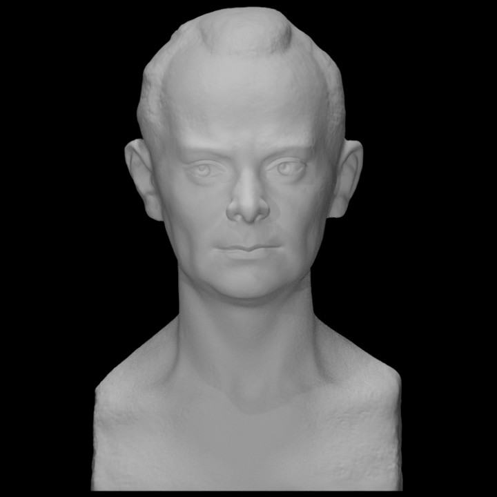 3D Printable Head of a man by Scan The World