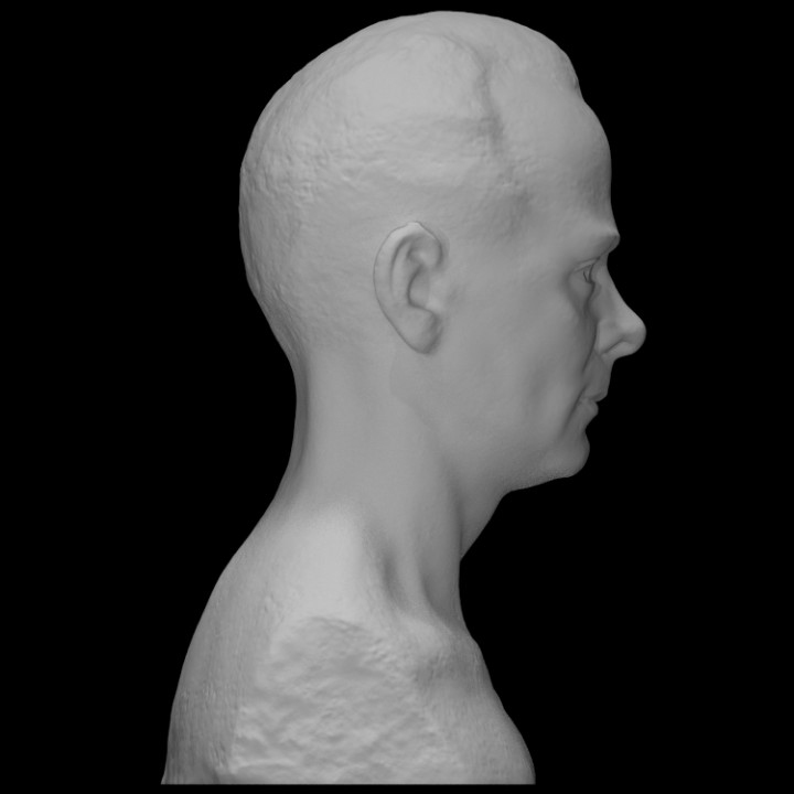 3D Printable Head of a man by Scan The World
