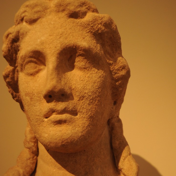 3D Printable Head of Apollo by Scan The World