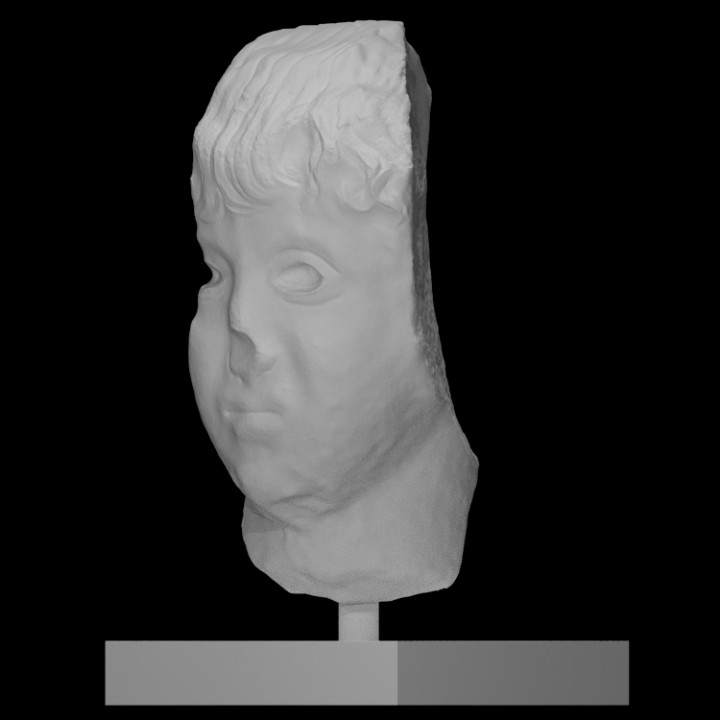 3D Printable Head of a man by Scan The World