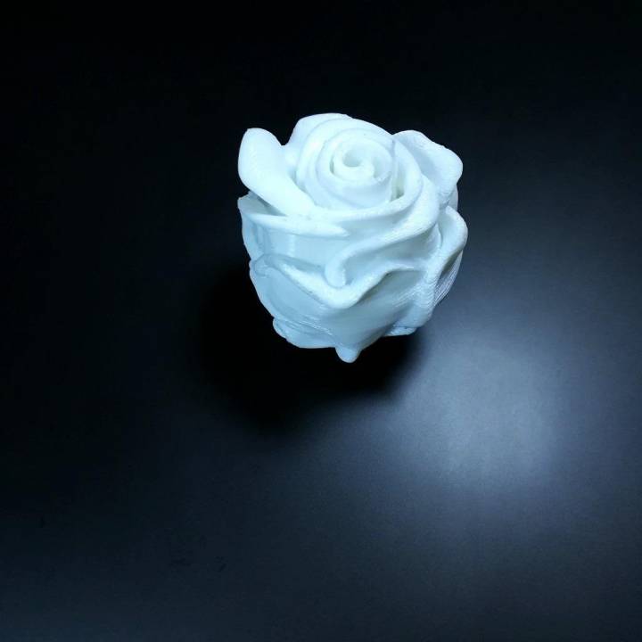 3D Printable rose by Dmitry Kuzmin