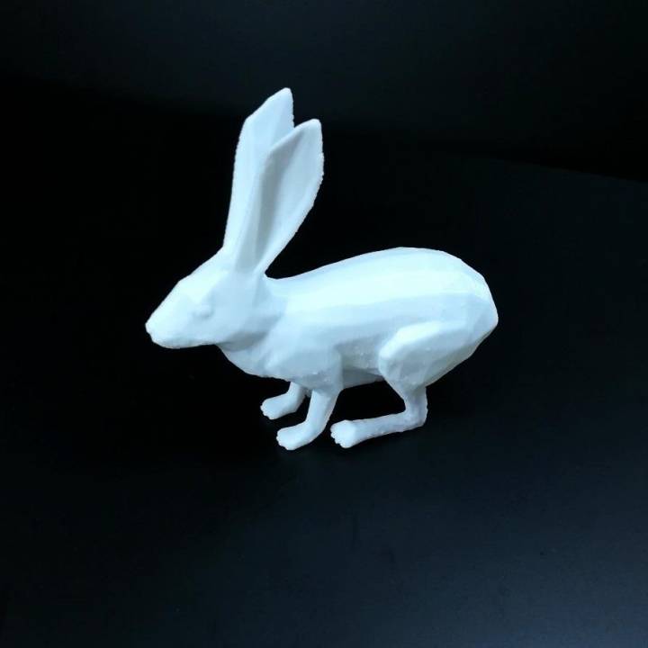 3D Printable rabbit 3D by Ayyoub Charkaoui