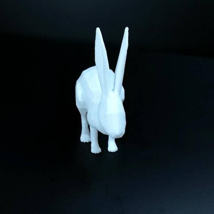 3D Printable rabbit 3D by Ayyoub Charkaoui