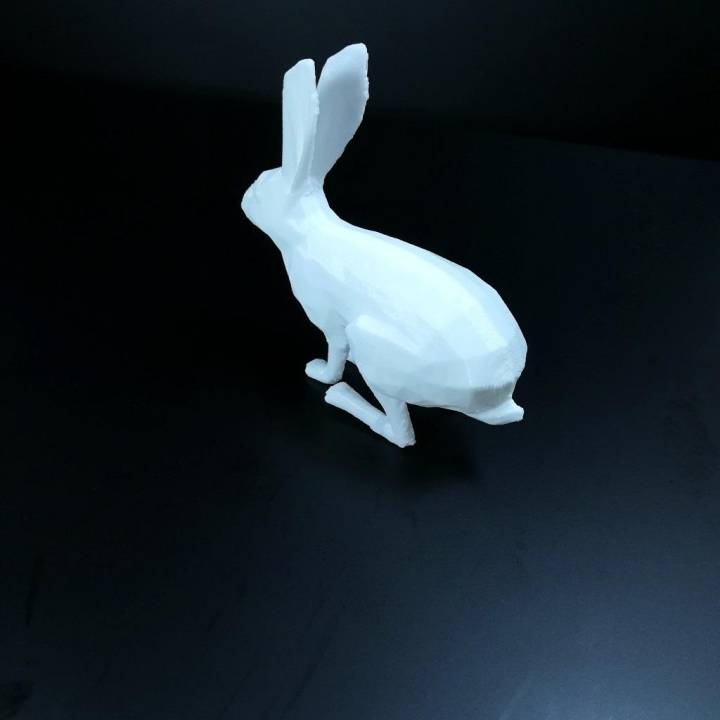 3D Printable rabbit 3D by Ayyoub Charkaoui