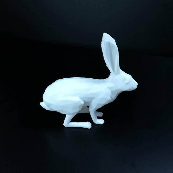 3D Printable rabbit 3D by Ayyoub Charkaoui