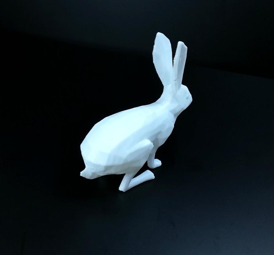 3D Printable rabbit 3D by Ayyoub Charkaoui
