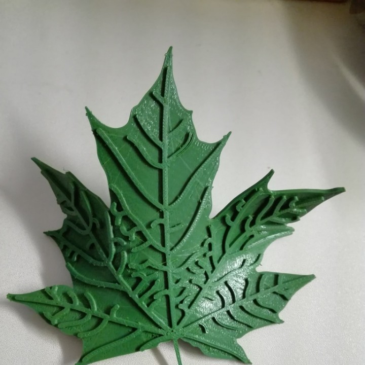 3D Printable Maple Leaf by 3D Custom Print
