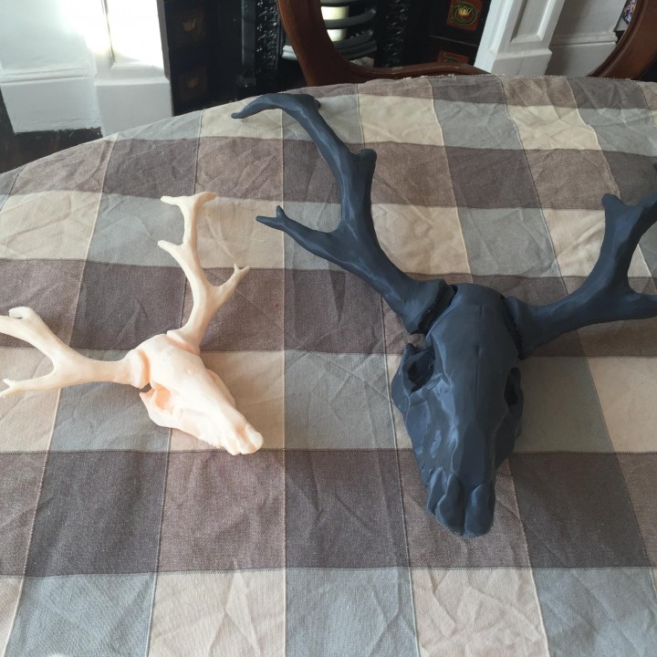 3D Printable Stag Skull by Matthew Ware