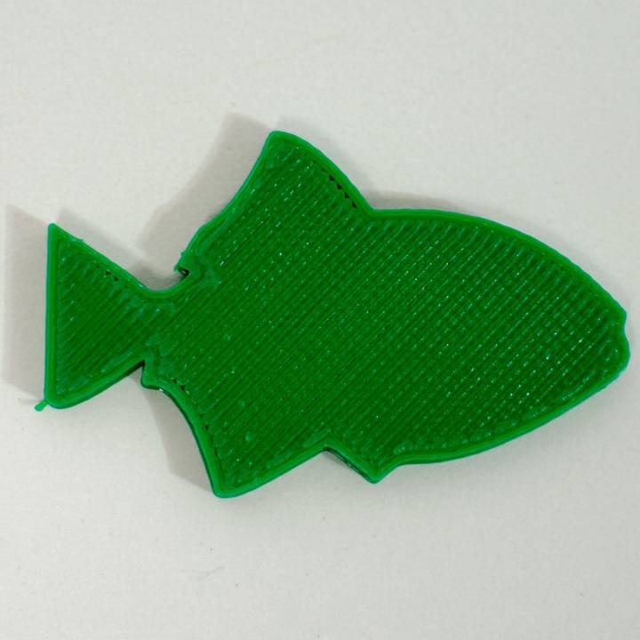 3D Printable Fish by Matthew Kaye