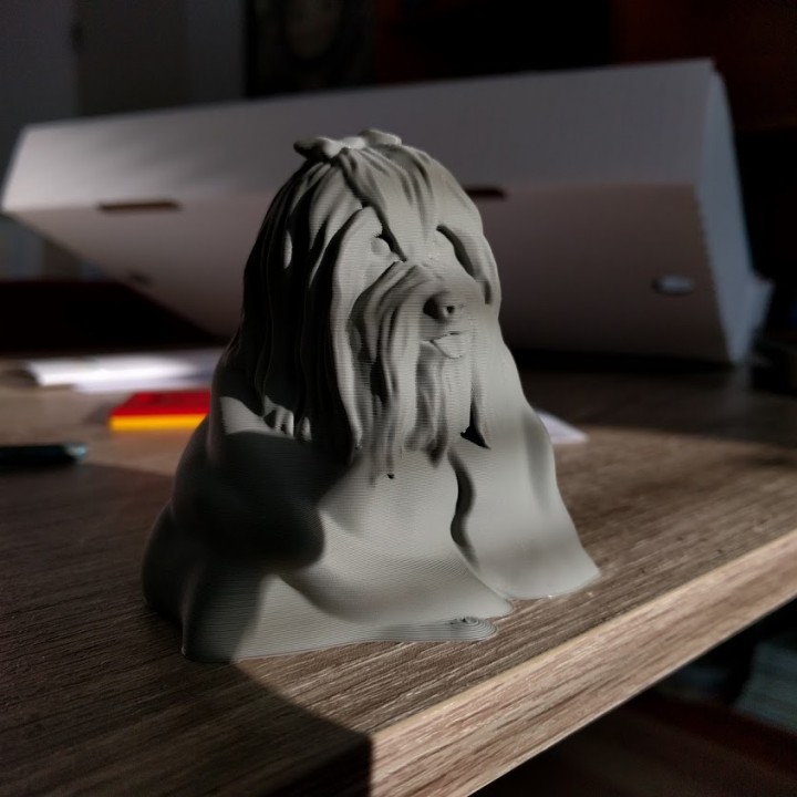 3D Printable Havanese dog statue by Jukka Seppänen