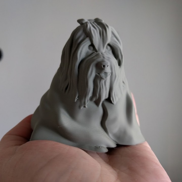 3D Printable Havanese dog statue by Jukka Seppänen