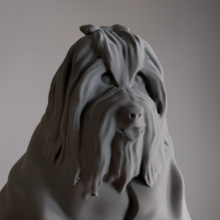 3D Printable Havanese dog statue by Jukka Seppänen