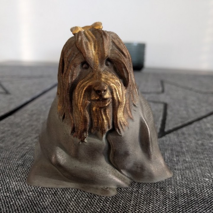 3D Printable Havanese dog statue by Jukka Seppänen