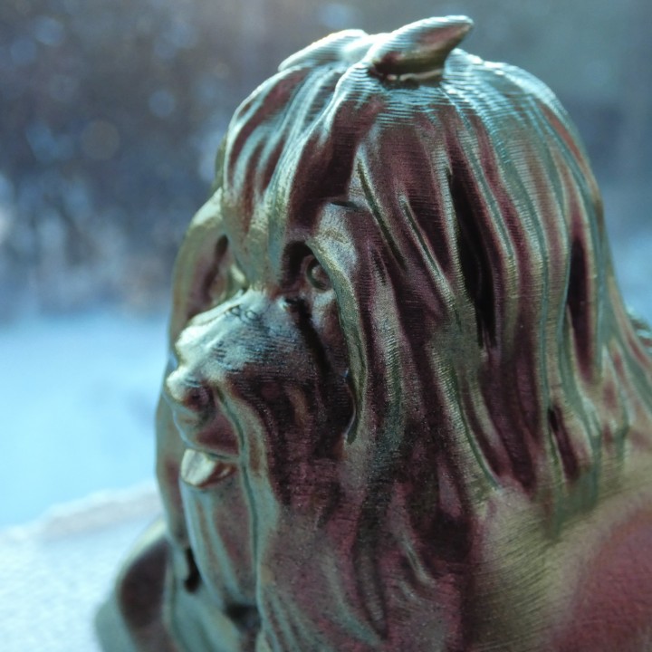 3D Printable Havanese dog statue by Jukka Seppänen