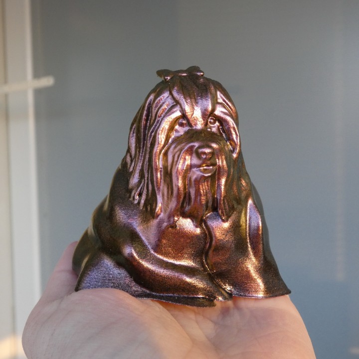 3D Printable Havanese dog statue by Jukka Seppänen