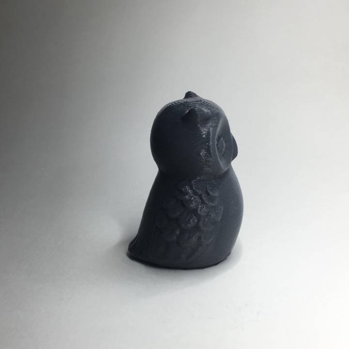 3D Printable Digital Scan Owl by Joshua Lomax