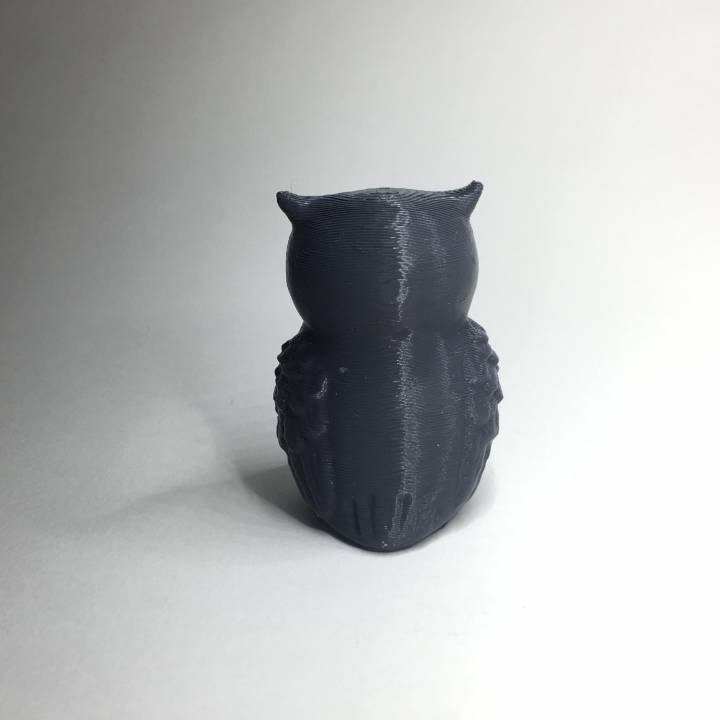 3D Printable Digital Scan Owl by Joshua Lomax
