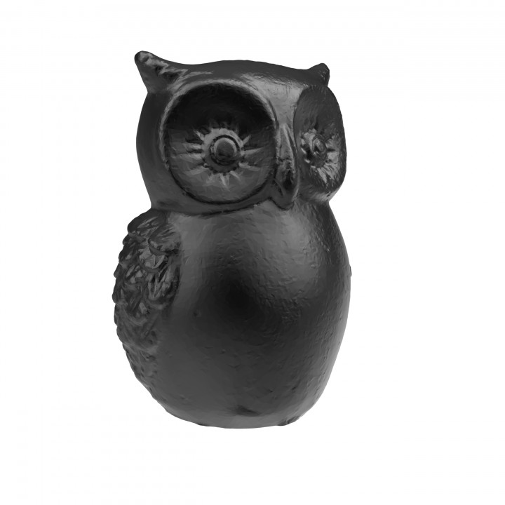 3D Printable Digital Scan Owl by Joshua Lomax